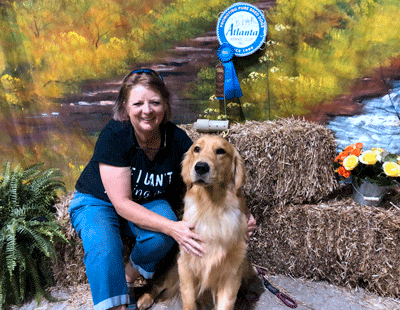 Sun Golden - Golden Retrievers