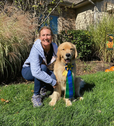 Sun Golden - Golden Retrievers